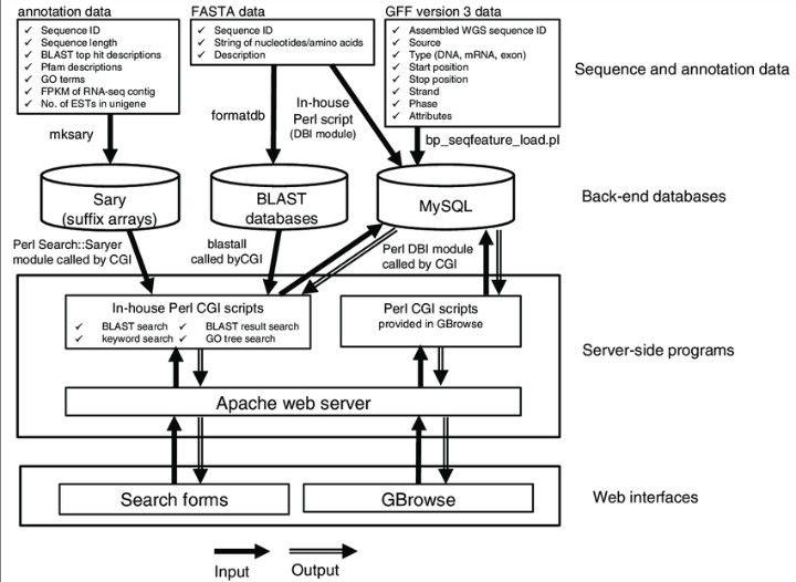 Hitesh Jha on LinkedIn: #sqlserver #dbms #dba #sql Hitesh Jha on LinkedIn: #sqlserver #dbms #dba #sql
