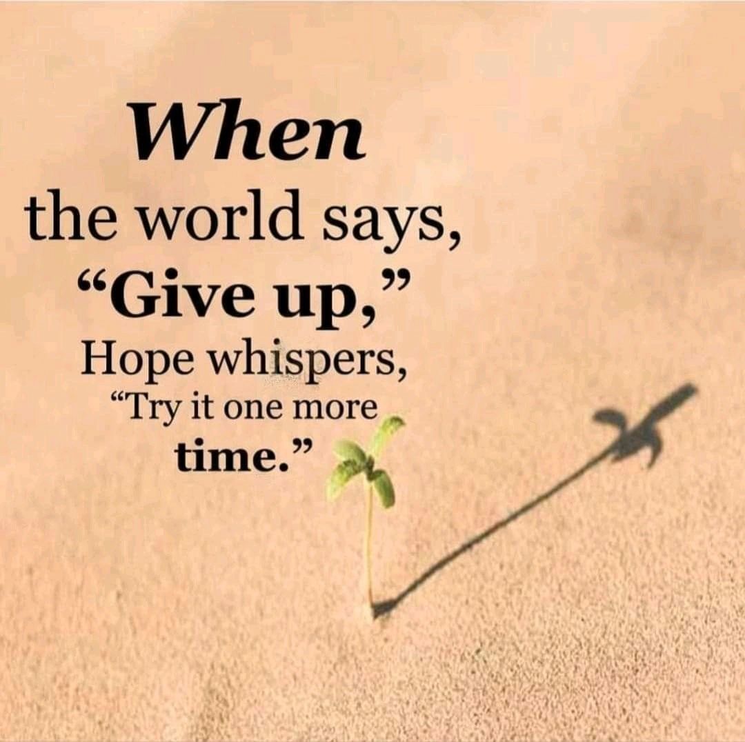 safaa slaiby posted on LinkedIn safaa slaiby posted on LinkedIn