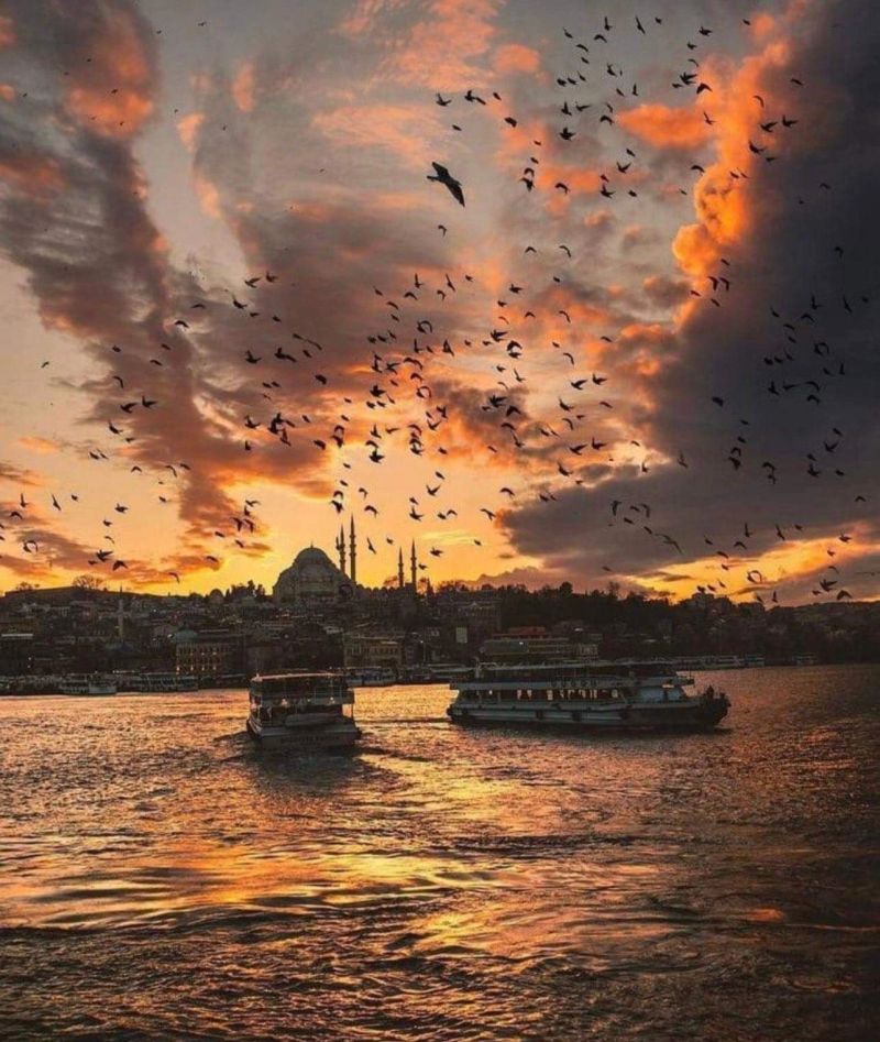 Serkan Polat LinkedIn‘de: ''Geceye yenilmeyen her insana, ödül olarak ... Serkan Polat LinkedIn‘de: ''Geceye yenilmeyen her insana, ödül olarak ...