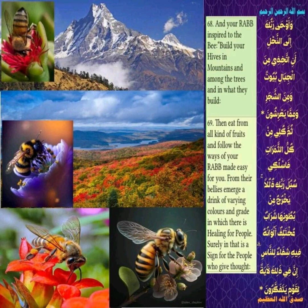 Ali Hammad posted on LinkedIn Ali Hammad posted on LinkedIn