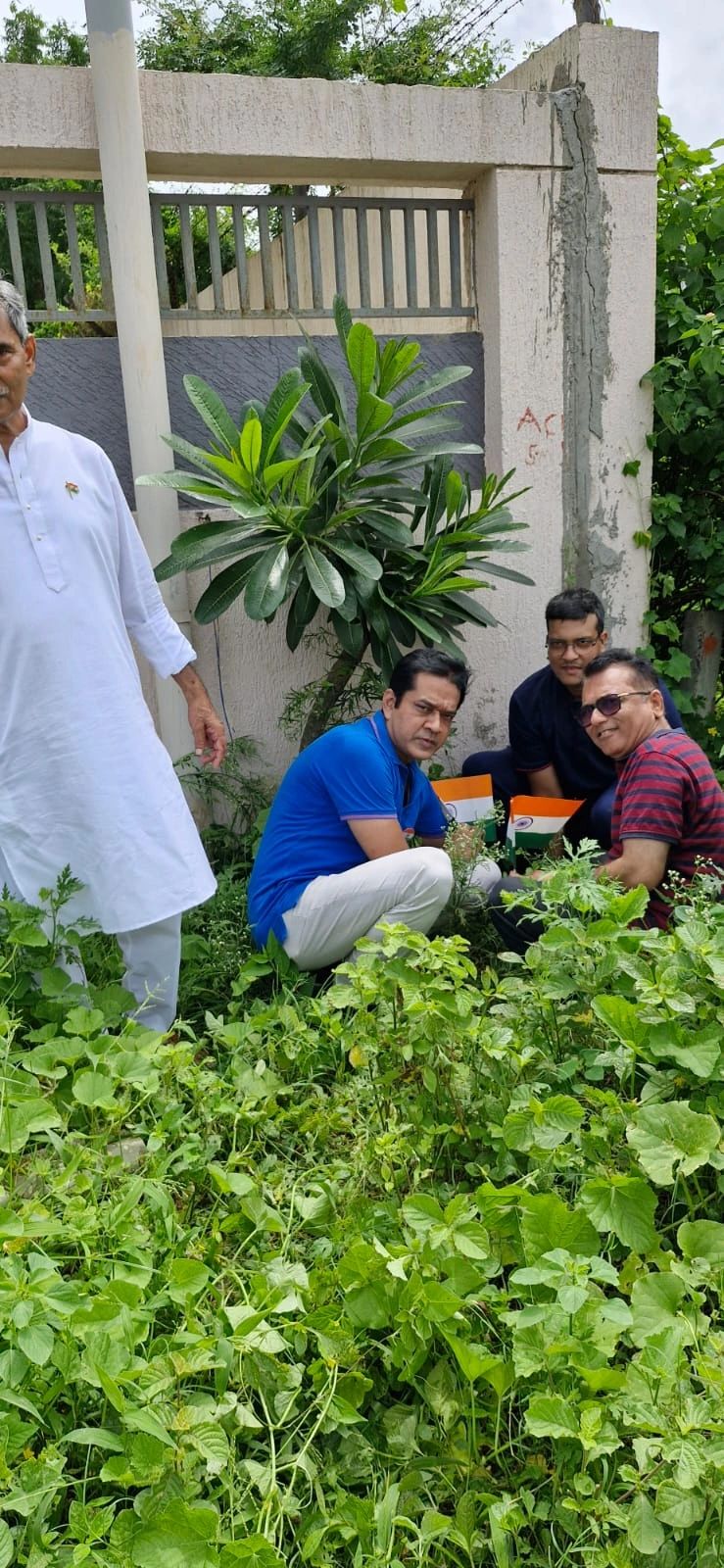 ARUN SAXENA on LinkedIn: #plant4mother ARUN SAXENA on LinkedIn: #plant4mother