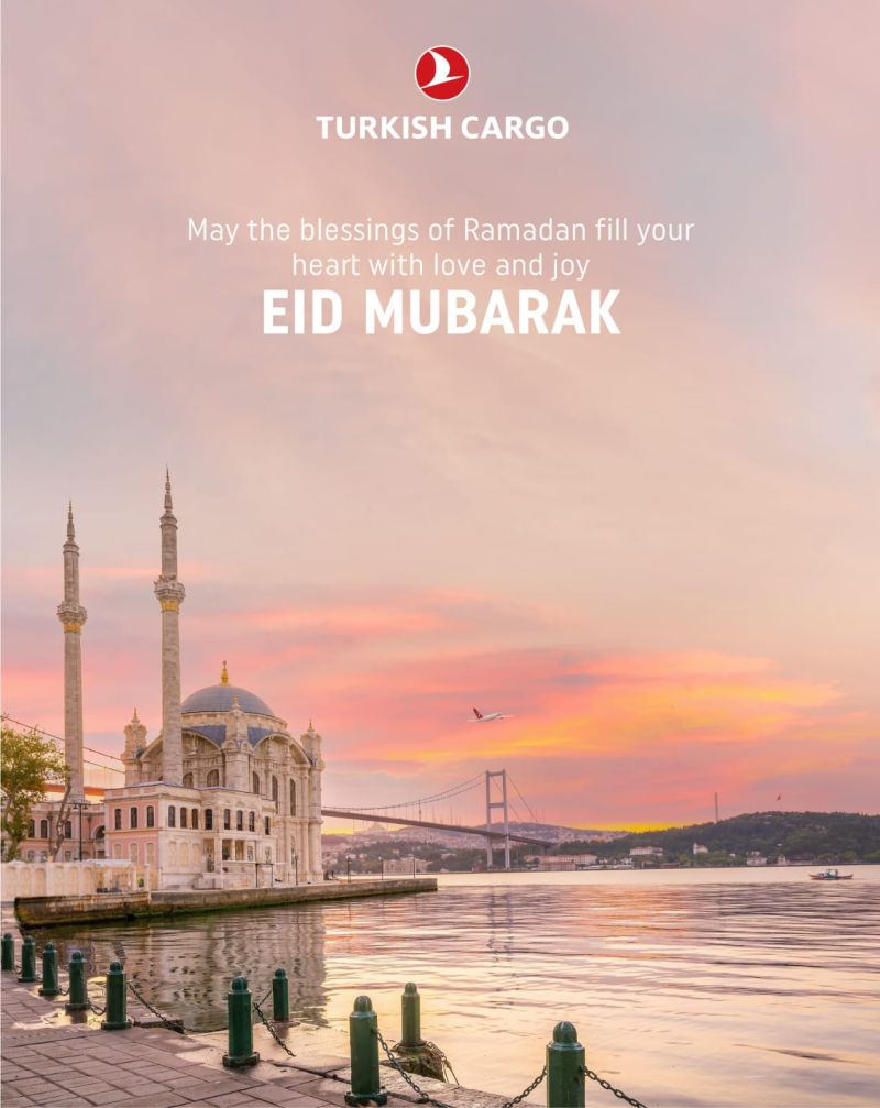 Turkish Cargo on LinkedIn: #turkishcargo Turkish Cargo on LinkedIn: #turkishcargo
