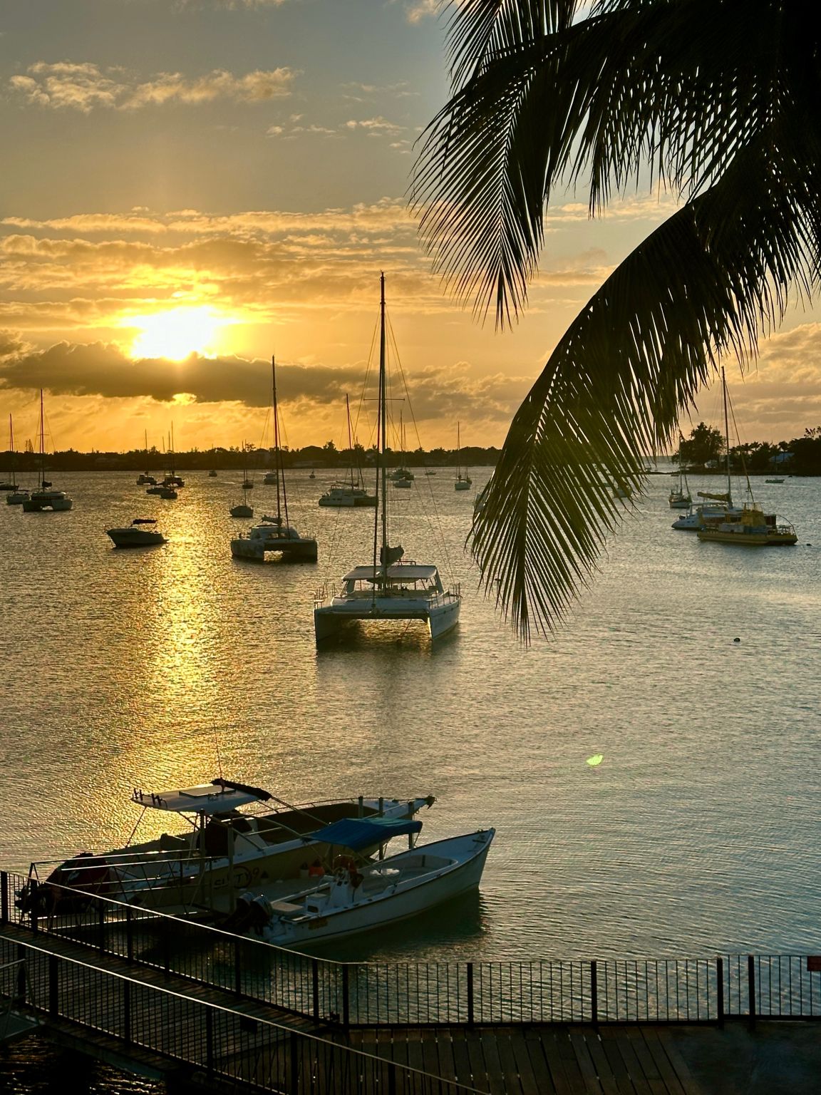 Ashley Brian Behrmann on LinkedIn: #mauritius Ashley Brian Behrmann on LinkedIn: #mauritius