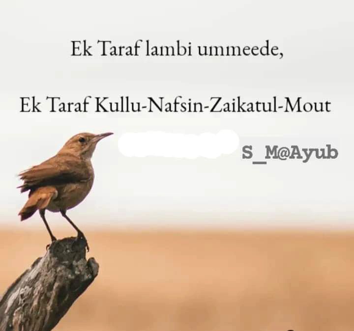 SHEKH M AYUB posted on LinkedIn SHEKH M AYUB posted on LinkedIn