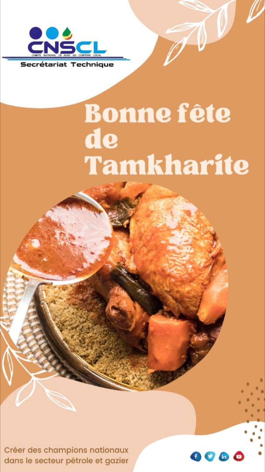 Secrétariat Technique du Comité National de Suivi du Contenu Local (ST ... Secrétariat Technique du Comité National de Suivi du Contenu Local (ST ...