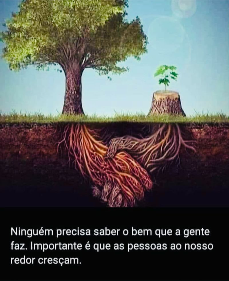 Angela Amorim posted on LinkedIn Angela Amorim posted on LinkedIn