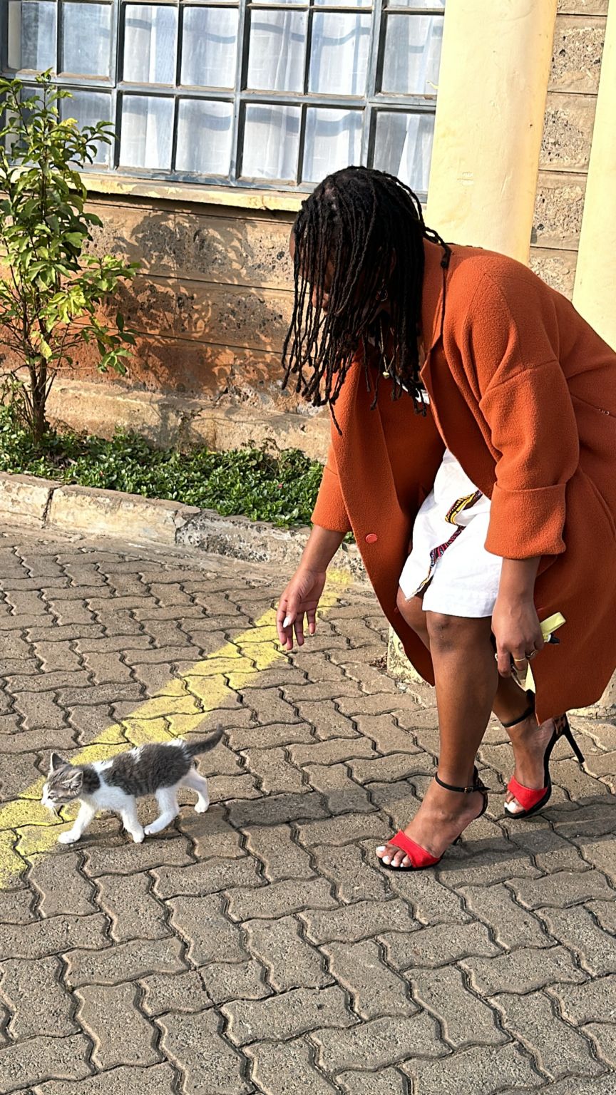 Evalyn Oloo on LinkedIn: #catlady Evalyn Oloo on LinkedIn: #catlady