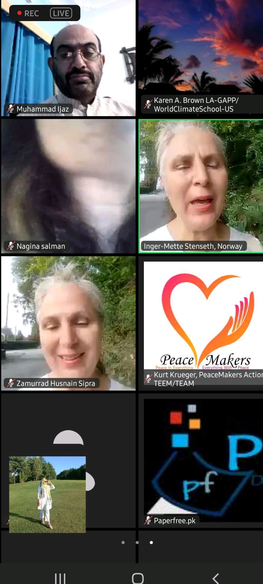 Hafsa Waqar on LinkedIn: Just attended an enlightening webinar by SDGs ... Hafsa Waqar on LinkedIn: Just attended an enlightening webinar by SDGs ...
