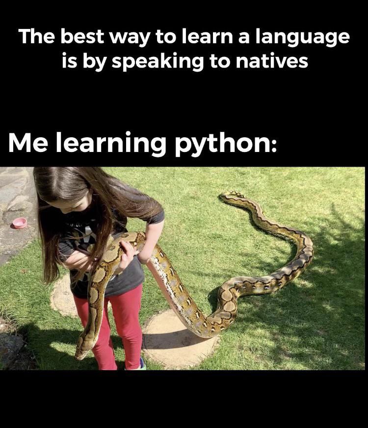 Payal Sharma on LinkedIn: #codingstruggles #pythondeveloper #python # ... Payal Sharma on LinkedIn: #codingstruggles #pythondeveloper #python # ...