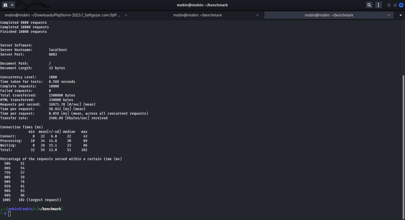 mobin poursalami on LinkedIn: Title: 🏆 Benchmarking HTTP Server ... mobin poursalami on LinkedIn: Title: 🏆 Benchmarking HTTP Server ...