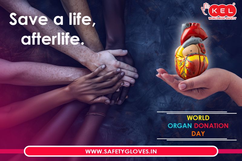 Sawalka KEL Gloves on LinkedIn: #kel #organdonationday #giftoflife # ... Sawalka KEL Gloves on LinkedIn: #kel #organdonationday #giftoflife # ...