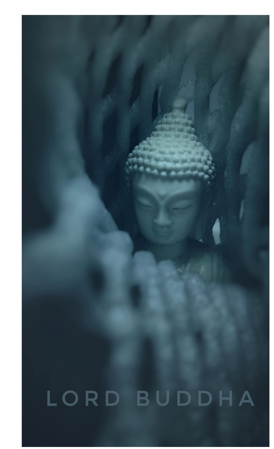 Sangeet Kumar Dhuriya posted on LinkedIn Sangeet Kumar Dhuriya posted on LinkedIn