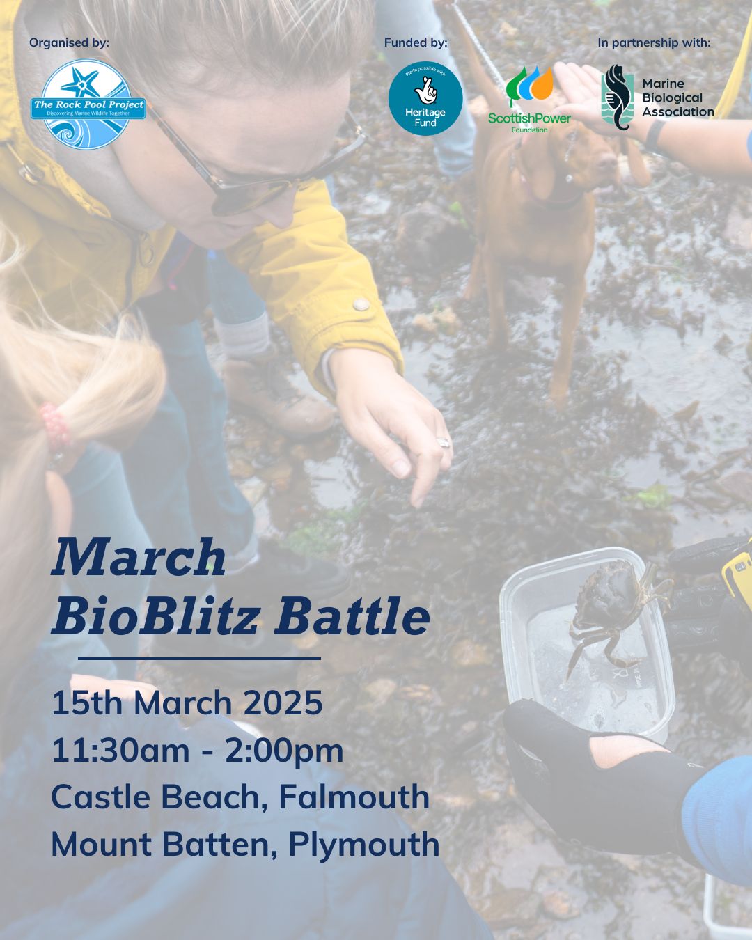 🌊🦑 Join Our March BioBlitz Battle 🦀🌿 | The Rock Pool Project 🌊🦑 Join Our March BioBlitz Battle 🦀🌿 | The Rock Pool Project