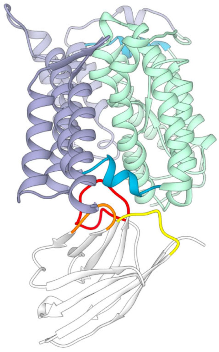 Linkster Therapeutics on LinkedIn: Interdomain-linkers control ... Linkster Therapeutics on LinkedIn: Interdomain-linkers control ...