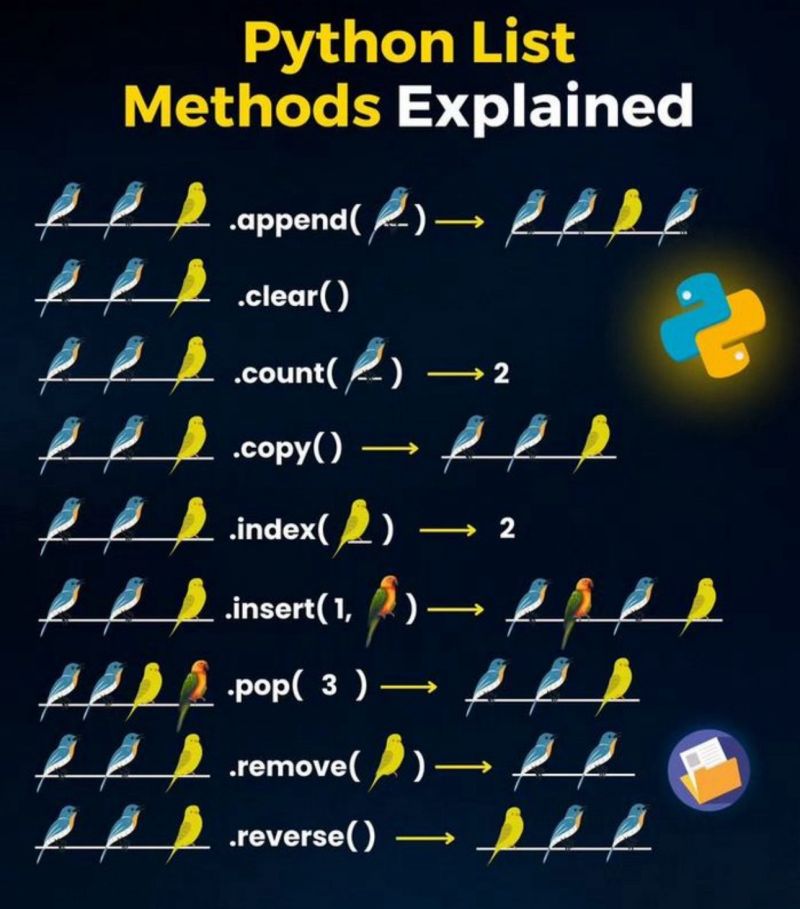 Shadi Mohammed on LinkedIn: Python List Methods Shadi Mohammed on LinkedIn: Python List Methods