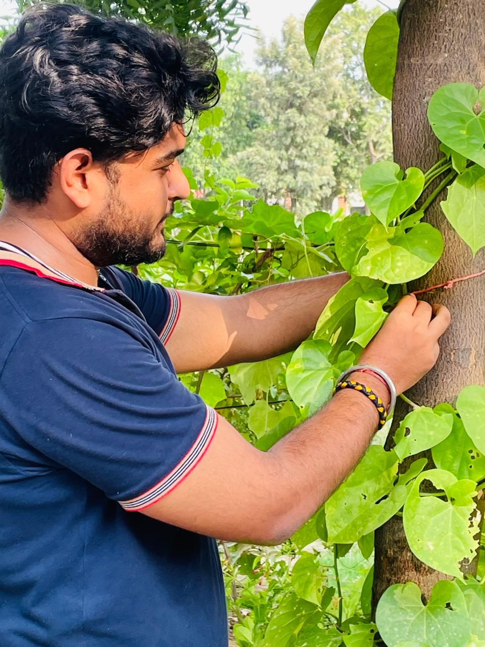 Anubhav Saxena on LinkedIn: #vrikshabandhan #vrikshabandhan #naturelove ... Anubhav Saxena on LinkedIn: #vrikshabandhan #vrikshabandhan #naturelove ...