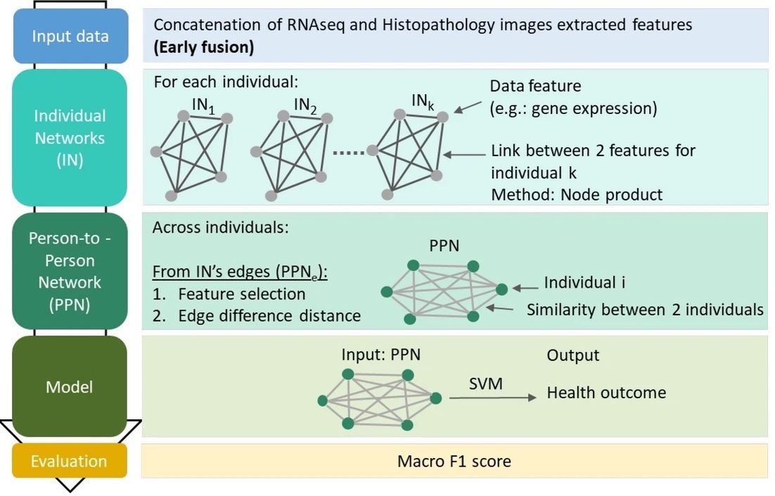 knowing01 on LinkedIn: Graph-based multi-modality integration for ... knowing01 on LinkedIn: Graph-based multi-modality integration for ...