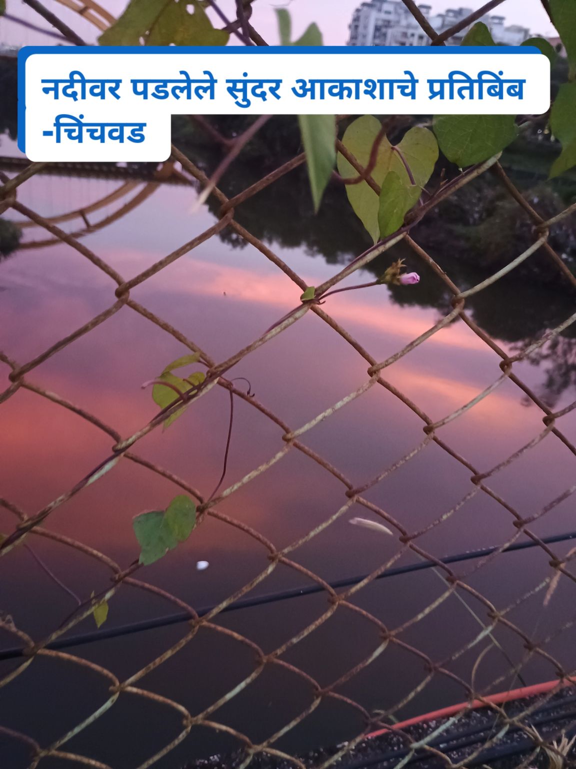 Vijay Patil posted on LinkedIn Vijay Patil posted on LinkedIn