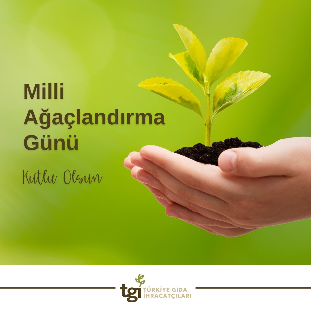 Ahmet Tiryakioglu LinkedIn‘de: #11kasımmilliağaçlandırmagünü Ahmet Tiryakioglu LinkedIn‘de: #11kasımmilliağaçlandırmagünü