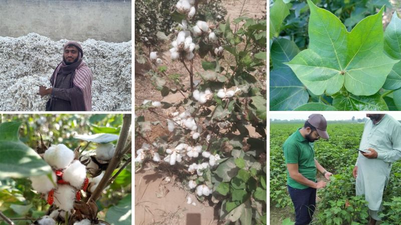 SAWIE Ecosystems on LinkedIn: #sustainablefashion SAWIE Ecosystems on LinkedIn: #sustainablefashion