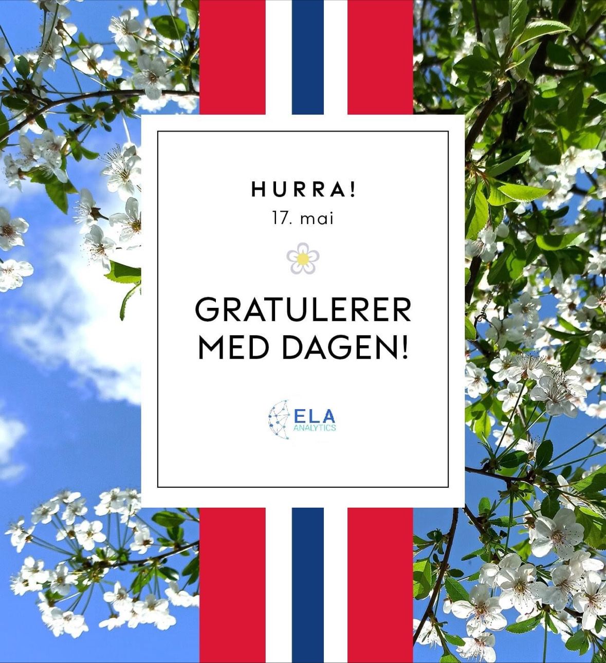 Besim Ismaili på LinkedIn: Gratulerer med dagen, Norge! Besim Ismaili på LinkedIn: Gratulerer med dagen, Norge!