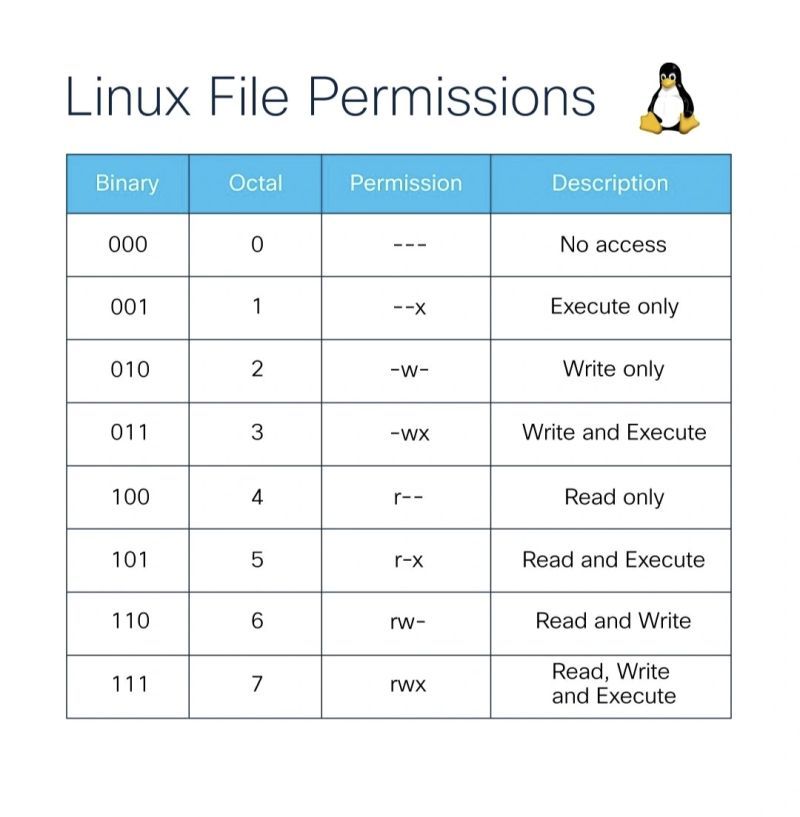 Abdul Ahad on LinkedIn: #linux #filepermissions #linuxtips #linuxcommands Abdul Ahad on LinkedIn: #linux #filepermissions #linuxtips #linuxcommands