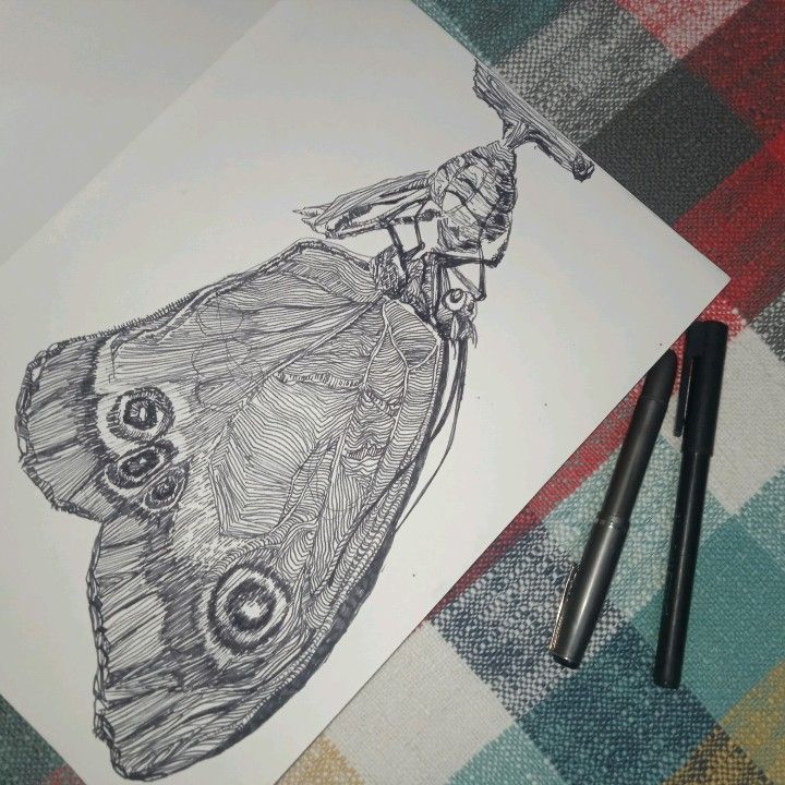 UMME ROMAN on LinkedIn: As the butterfly emerges from its chrysalis ... UMME ROMAN on LinkedIn: As the butterfly emerges from its chrysalis ...