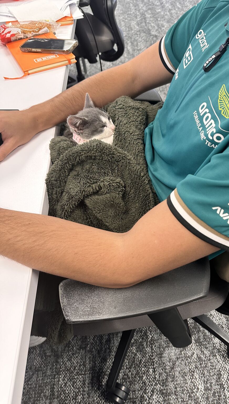 Francesca Contardi on LinkedIn: #work #cat #dogs #workplace #pets # ... Francesca Contardi on LinkedIn: #work #cat #dogs #workplace #pets # ...
