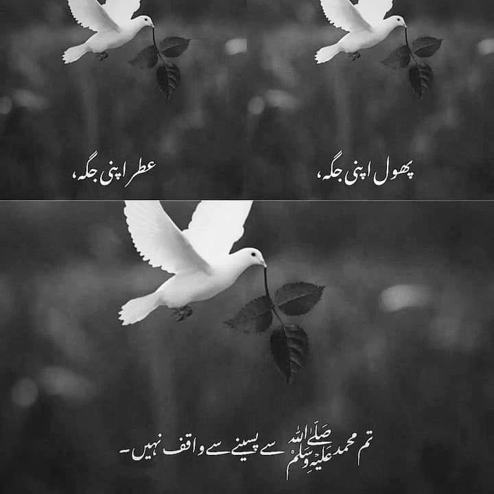 Muhammad Arslan Sarwar on LinkedIn: #allahuakbar #allah #lahore #pakistan Muhammad Arslan Sarwar on LinkedIn: #allahuakbar #allah #lahore #pakistan