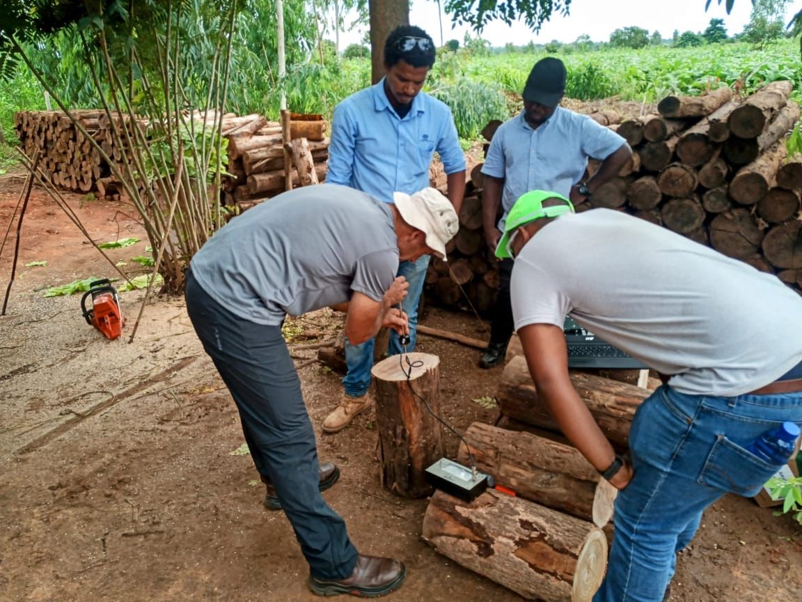 CMO is assisting Mozambique Leaf Tobacco to achieve full sustainability ... CMO is assisting Mozambique Leaf Tobacco to achieve full sustainability ...