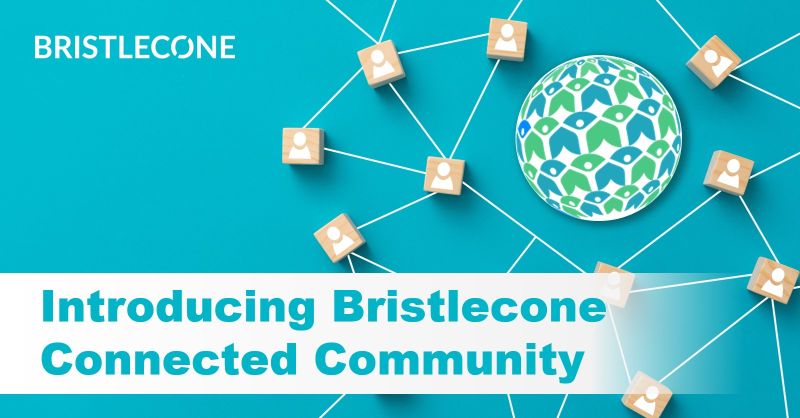 Bristlecone on LinkedIn: Bristlecone Connected Community Bristlecone on LinkedIn: Bristlecone Connected Community