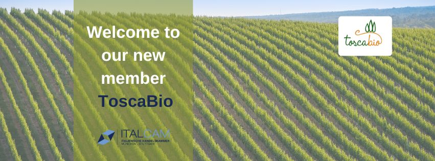ITALCAM - Italian-German Chamber of Commerce on LinkedIn: #italcam # ... ITALCAM - Italian-German Chamber of Commerce on LinkedIn: #italcam # ...