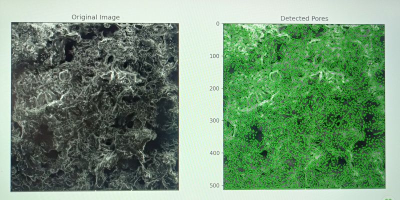 Omkar Sonkawade on LinkedIn: I have used Python to analyze an SEM image ... Omkar Sonkawade on LinkedIn: I have used Python to analyze an SEM image ...