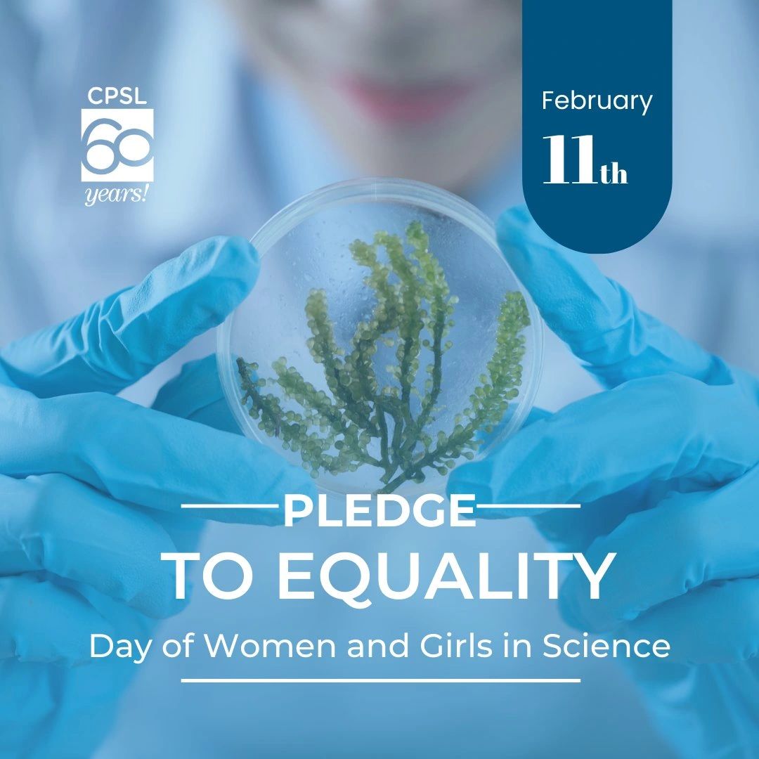 #localization #cpsl #sustainability #woman #science | CPSL Language ... #localization #cpsl #sustainability #woman #science | CPSL Language ...