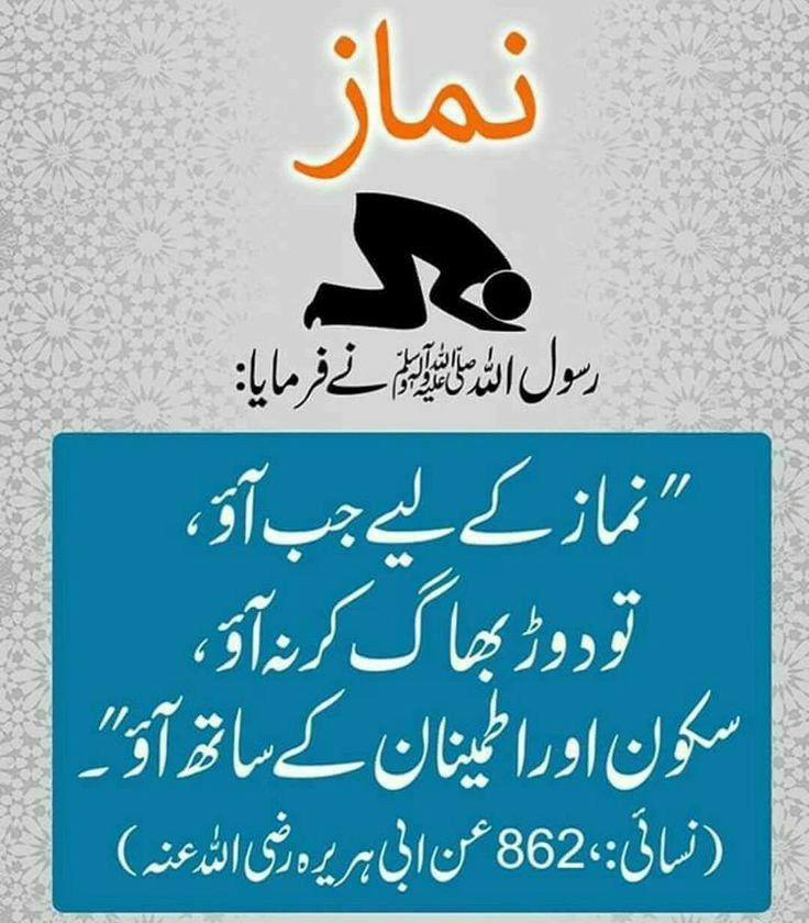MOHAMMAD Zeeshan posted on LinkedIn MOHAMMAD Zeeshan posted on LinkedIn