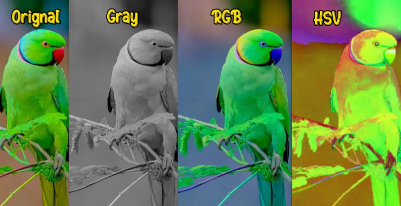 Ahmad Sabir on LinkedIn: #computervision #opencv #python #datascience # ... Ahmad Sabir on LinkedIn: #computervision #opencv #python #datascience # ...