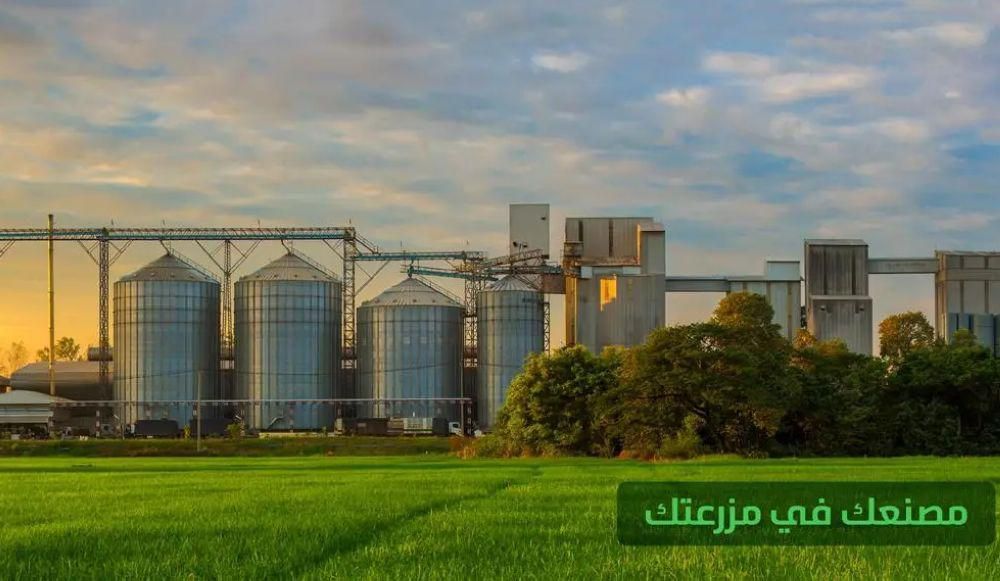 Abdelrahman Hany posted on LinkedIn Abdelrahman Hany posted on LinkedIn