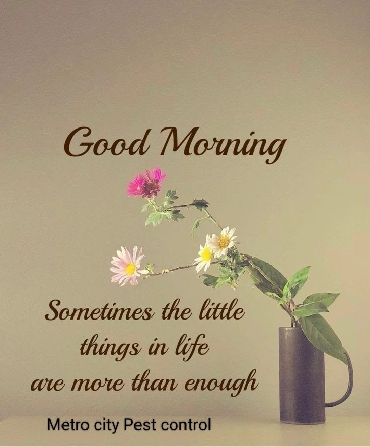 Tanu Sharma posted on LinkedIn Tanu Sharma posted on LinkedIn