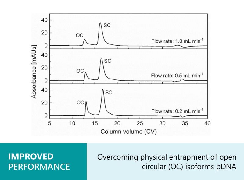 #pdna #hplc #purification #chromatography #biotechnology | BIA ... #pdna #hplc #purification #chromatography #biotechnology | BIA ...
