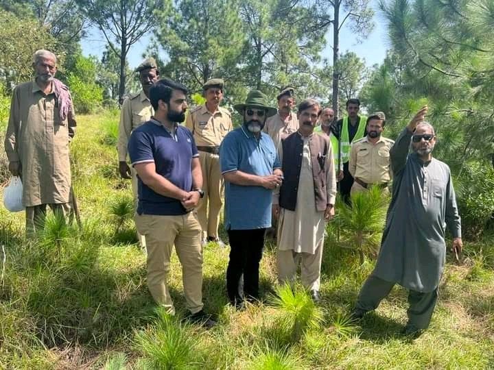 Muhammad Asif Khan on LinkedIn: #forestry Muhammad Asif Khan on LinkedIn: #forestry