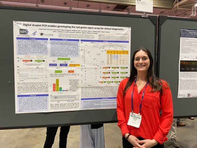 National Eye Institute (NEI) on LinkedIn: #nei #arvo2023 National Eye Institute (NEI) on LinkedIn: #nei #arvo2023