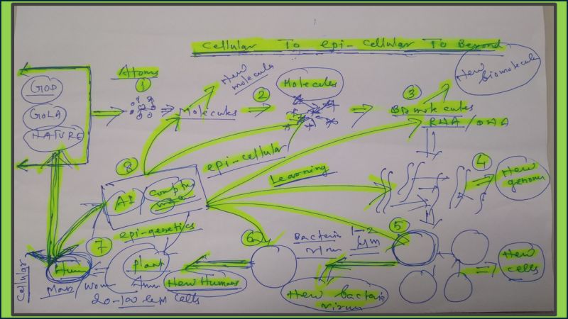Prof. Nilesh Kumar Sharma (Ph.D., FRSB, FMASc.) on LinkedIn: #cellular #epi Prof. Nilesh Kumar Sharma (Ph.D., FRSB, FMASc.) on LinkedIn: #cellular #epi