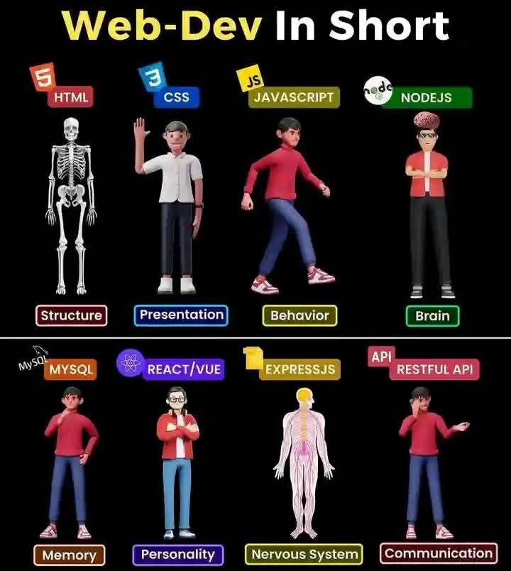 Muhammad Sameed on LinkedIn: #webdevelopment #html #css #javascript # ... Muhammad Sameed on LinkedIn: #webdevelopment #html #css #javascript # ...