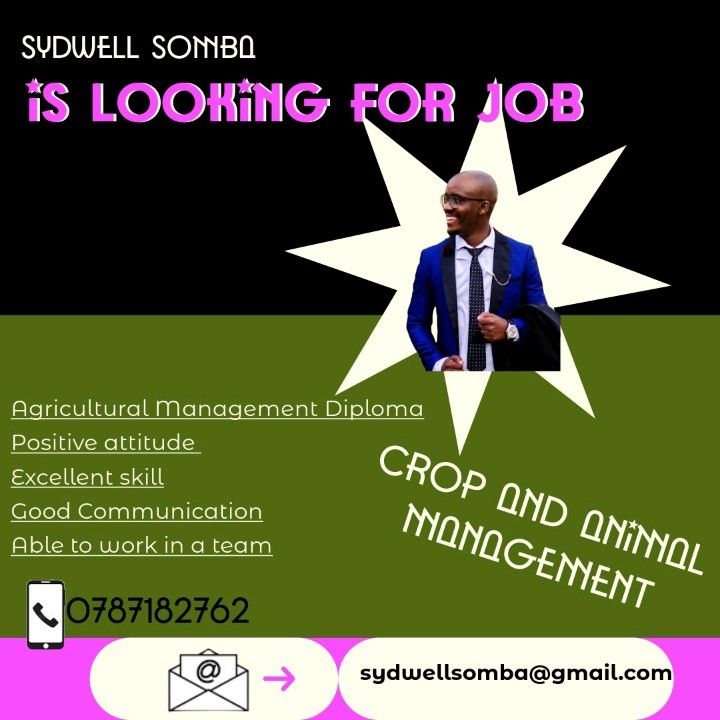 Lebohang Motsapi posted on LinkedIn Lebohang Motsapi posted on LinkedIn