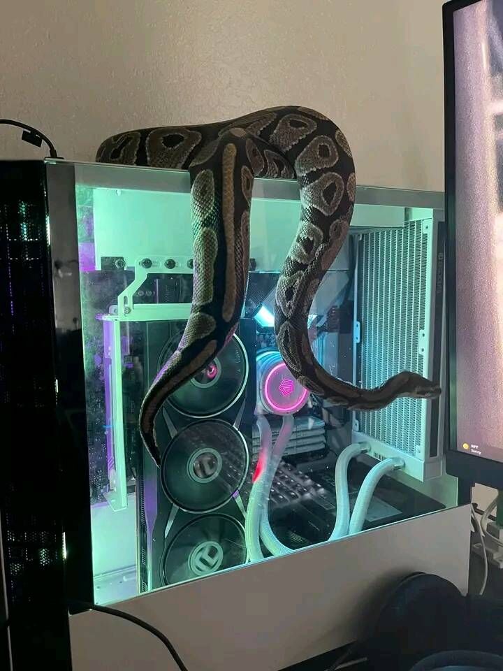 Syed Abdul Momin on LinkedIn: I think I installed the wrong 'Python ... Syed Abdul Momin on LinkedIn: I think I installed the wrong 'Python ...