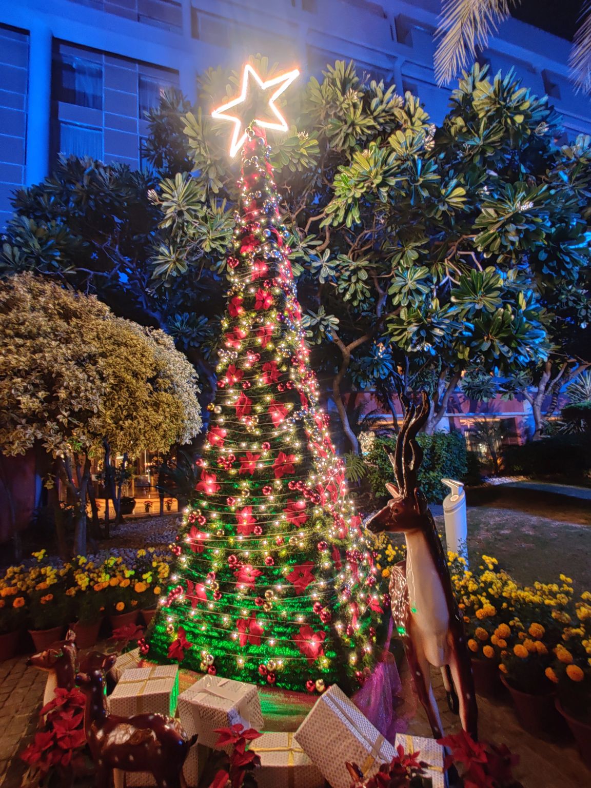 Nishant Subhash Vyas on LinkedIn: Wishing everyone Merry Christmas 🎄🎅CS ... Nishant Subhash Vyas on LinkedIn: Wishing everyone Merry Christmas 🎄🎅CS ...