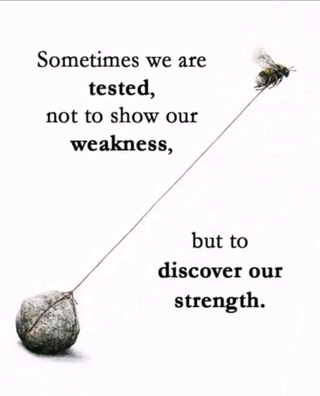 Faraz Ahmad on LinkedIn: Strength is inside of everyone, we can prove ... Faraz Ahmad on LinkedIn: Strength is inside of everyone, we can prove ...