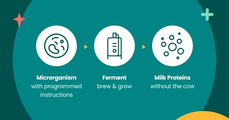 HERAMB PATIL on LinkedIn: #foodtech #sustainability # ... HERAMB PATIL on LinkedIn: #foodtech #sustainability # ...