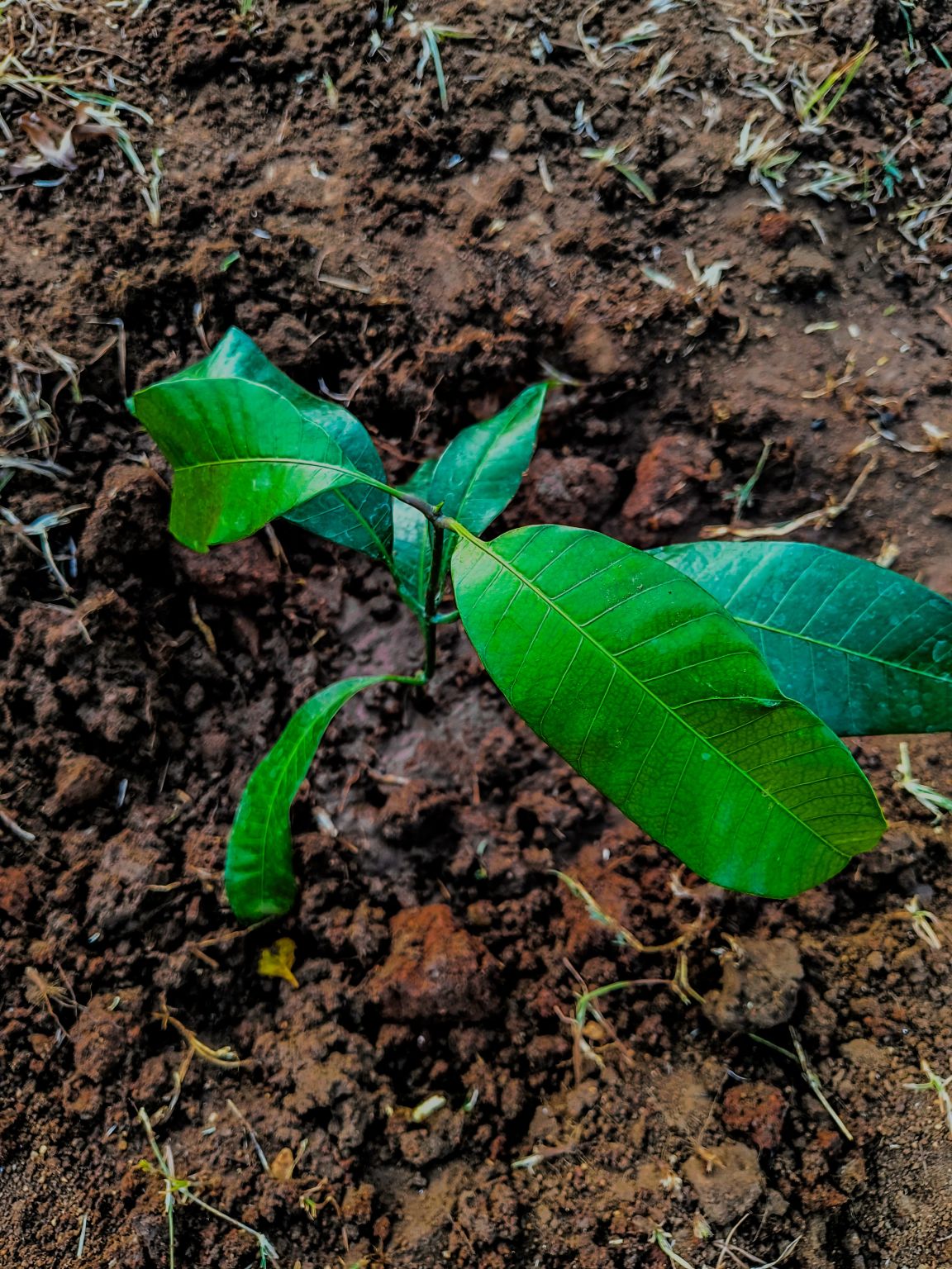 Gopi Shankar V on LinkedIn: #farming #webdevelopment #growth # ... Gopi Shankar V on LinkedIn: #farming #webdevelopment #growth # ...