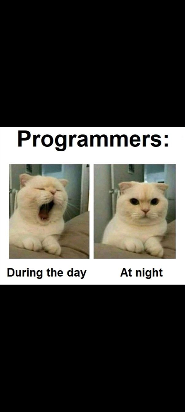 Sachin Dwivedi on LinkedIn: #coding #developerlife #programminglife # ... Sachin Dwivedi on LinkedIn: #coding #developerlife #programminglife # ...